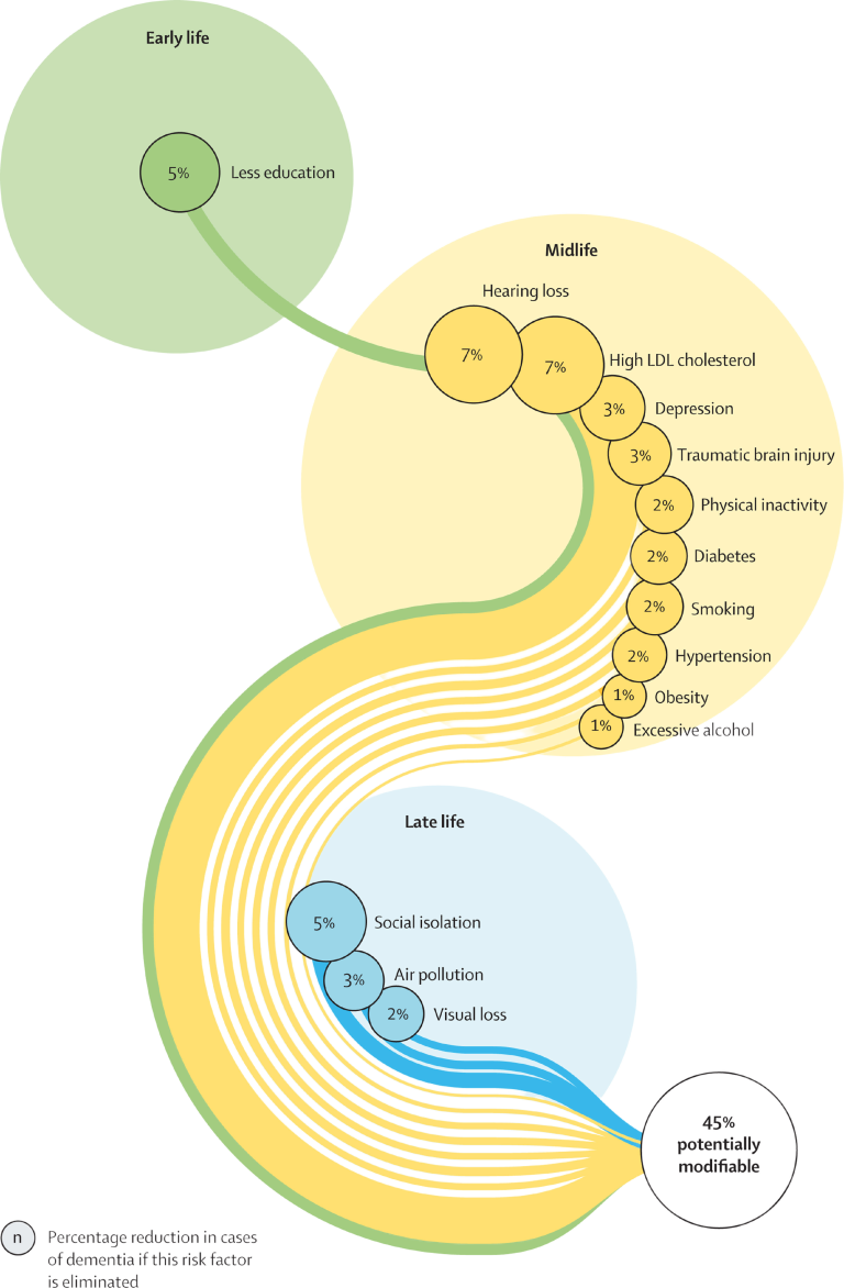 Lancet Commission identifies two new risk factors for dementia and ...